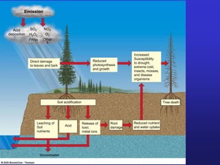 Photochemical smog_lecture 3 (3).pptx