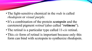 Photochemistry By Pandian M | PPTX