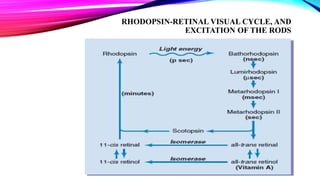 Photochemistry By Pandian M | PPTX