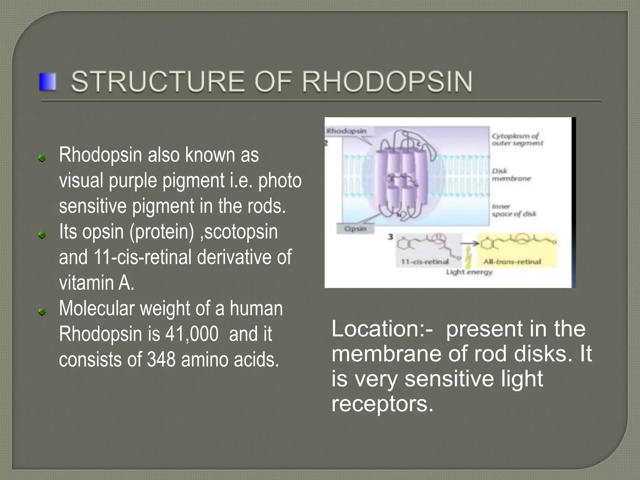 Photo-chemistry of Vision | PPTX