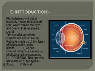 Photo-chemistry of Vision | PPTX