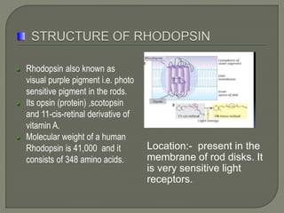 Photo-chemistry of Vision | PPTX