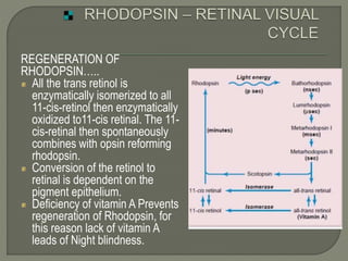 Photo-chemistry of Vision | PPTX