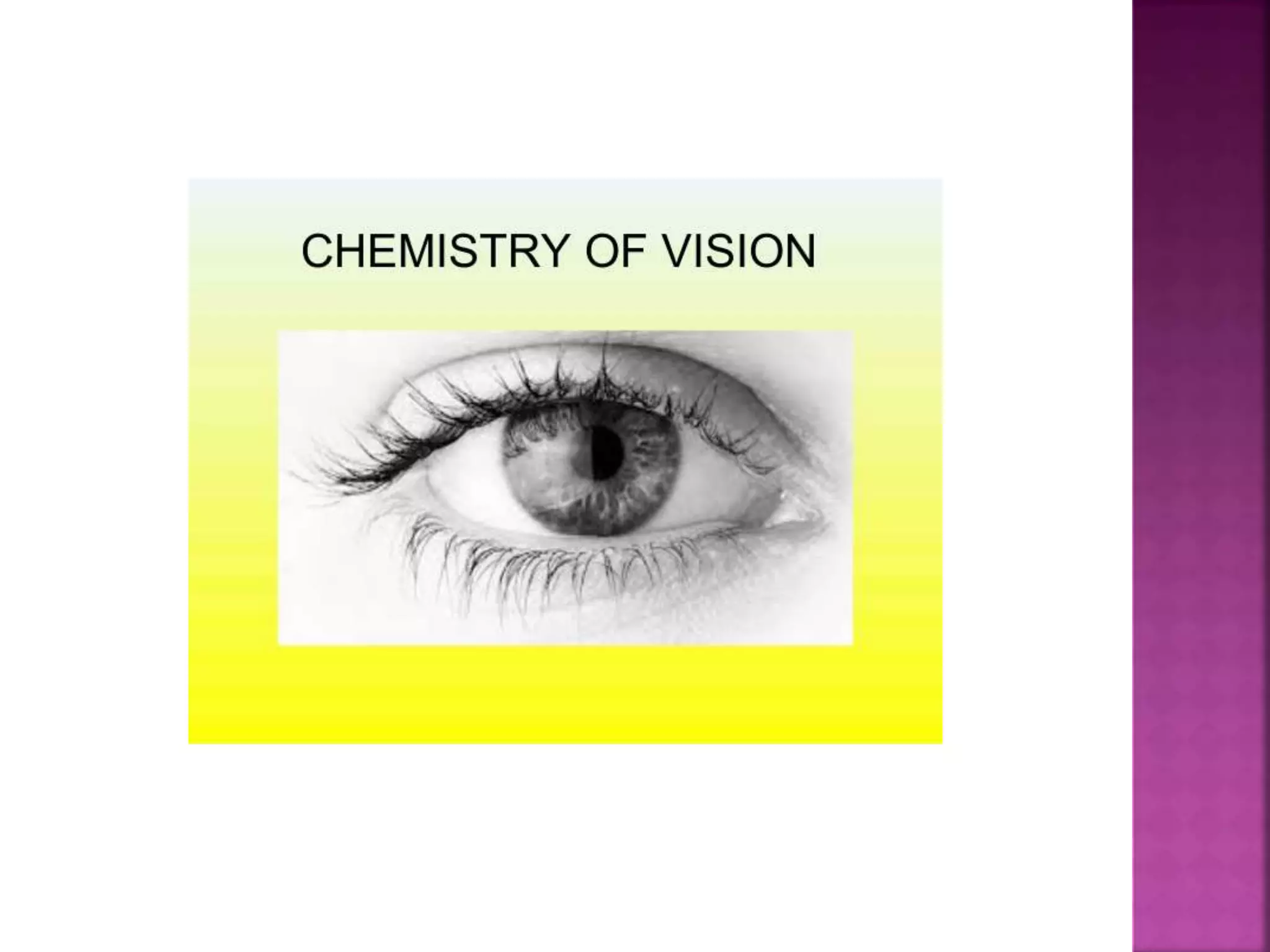 Photochemistry of vision | PPTX