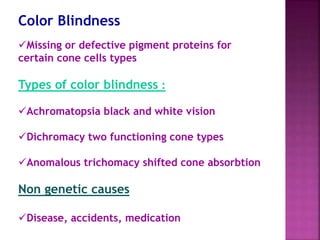Photochemistry of vision | PPTX