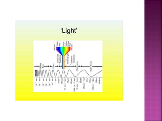 Photochemistry of vision | PPTX
