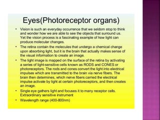 Photochemistry of vision | PPTX