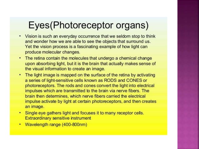 Photochemistry of vision | PPTX