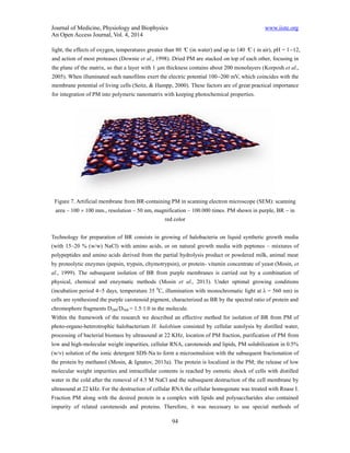 Photochrome transmembrane protein bacteriorhodopsin from | PDF ...
