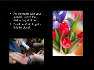 Photography Tips for Kids | PPT