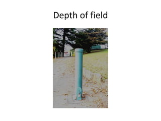 Rene Photo composition trial | PPT