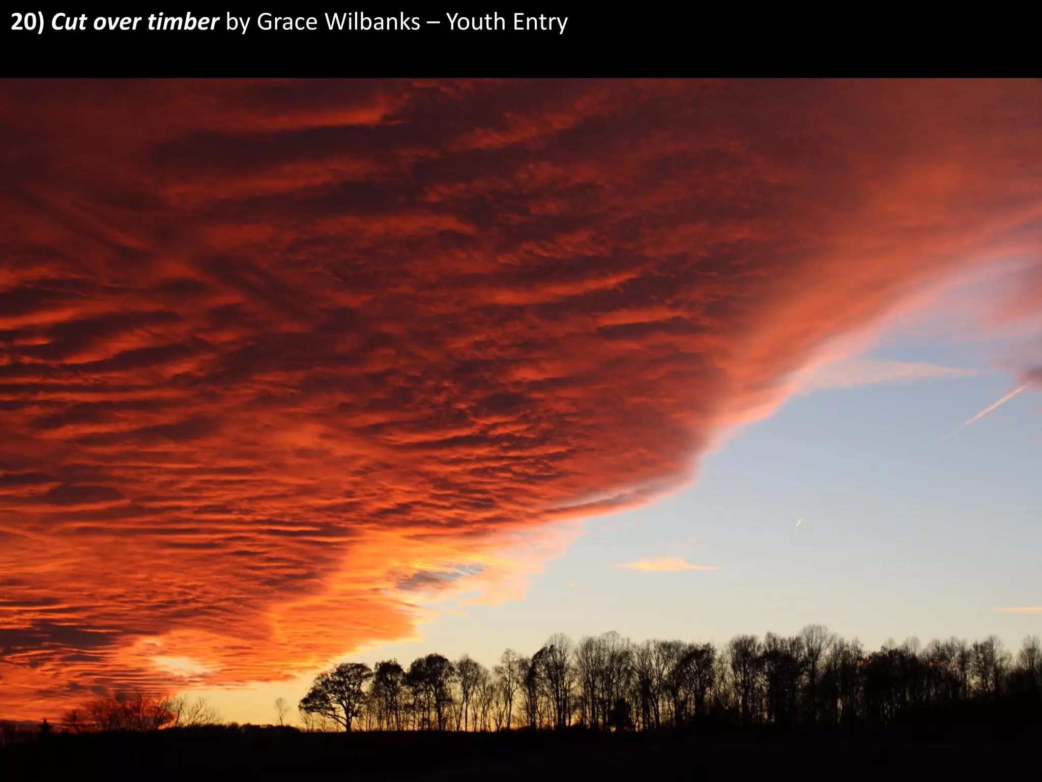 2014 PEC Photo Contest Finalists | PPT