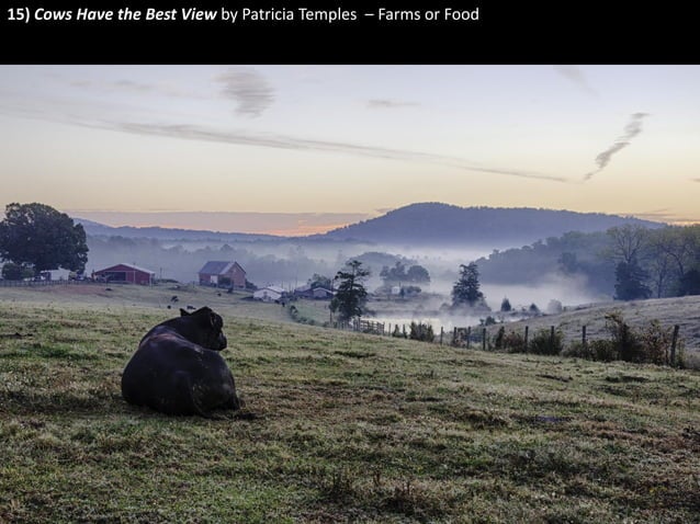 2014 PEC Photo Contest Finalists | PPT