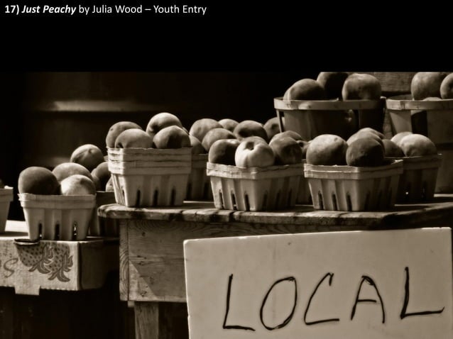 2014 PEC Photo Contest Finalists | PPT