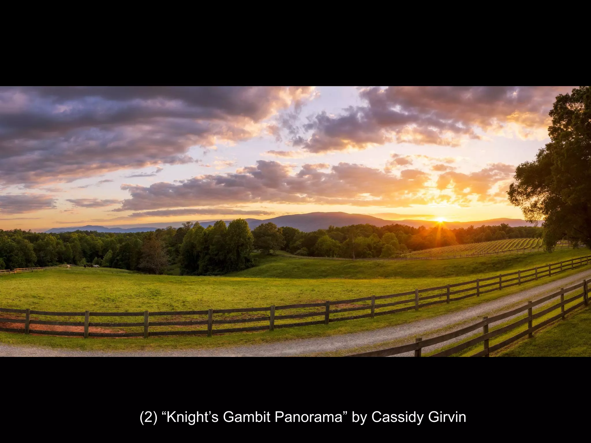 PEC Photo Contest Finalists 2020 | PPT