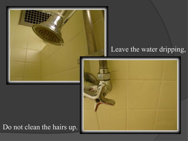Shower of Harrison Hall at Purdue University | PPT