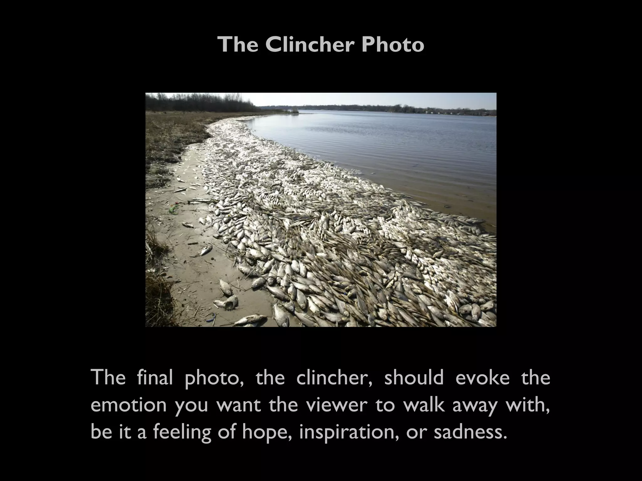 Photo Essay Assignment | PPT