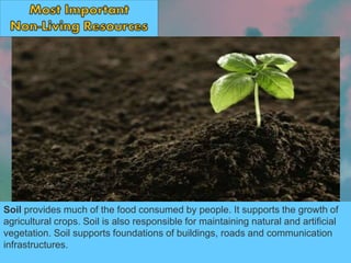 EARTH'S NATURAL RESOURCES | PPTX