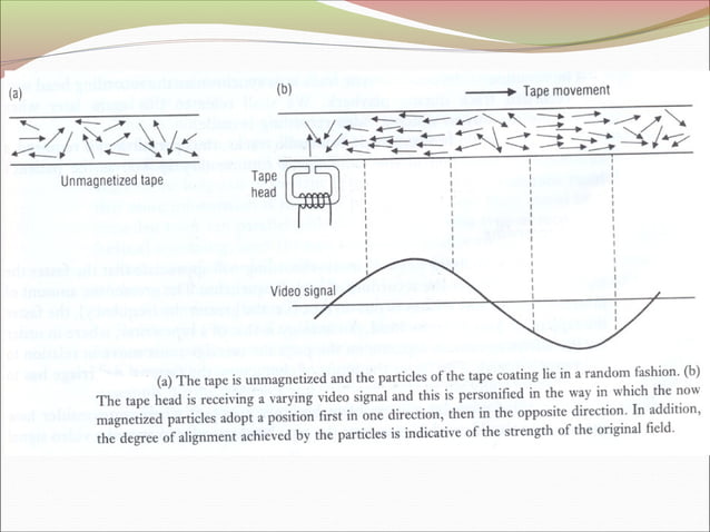 Photoflurography new microsoft office powerpoint 97 2003 presentation | PPT | Photography | Arts ...