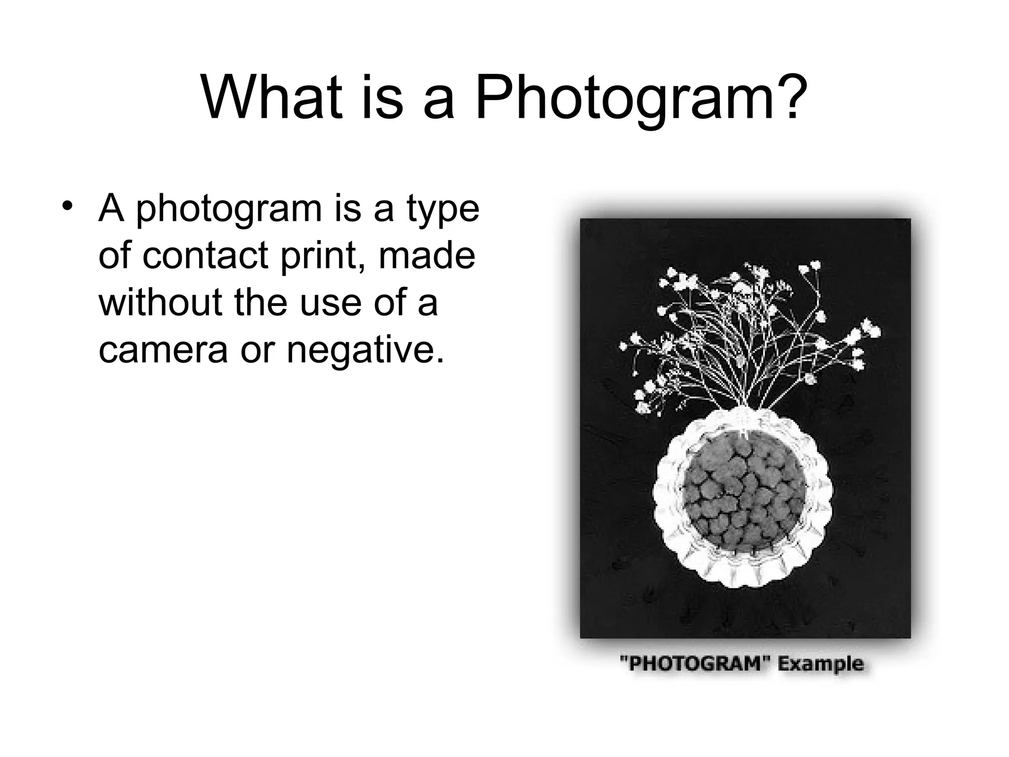 Photograms and darkroom procedure | PPT
