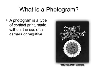 Photograms and darkroom procedure | PPT