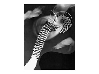 Photograms and darkroom procedure | PPT