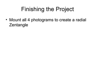 Photograms and darkroom procedure | PPT