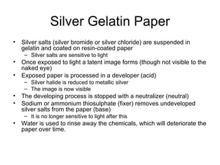 Photograms and darkroom procedure | PPT