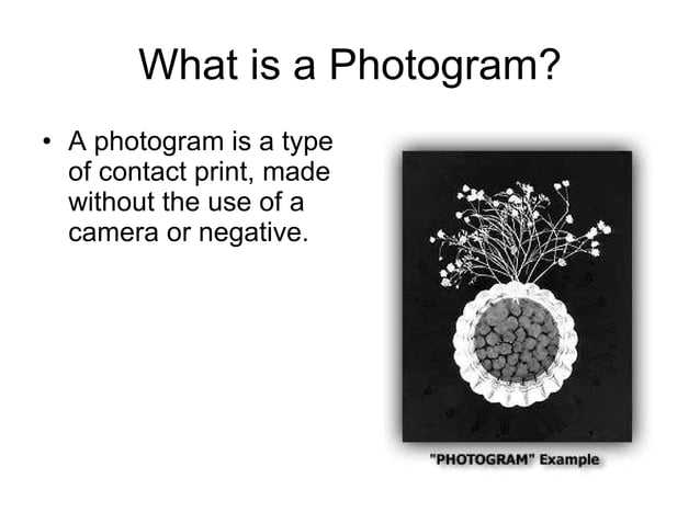 Photograms and darkroom procedure | PPT