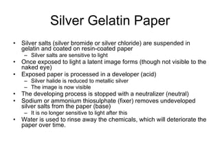 Photograms and darkroom procedure | PPT