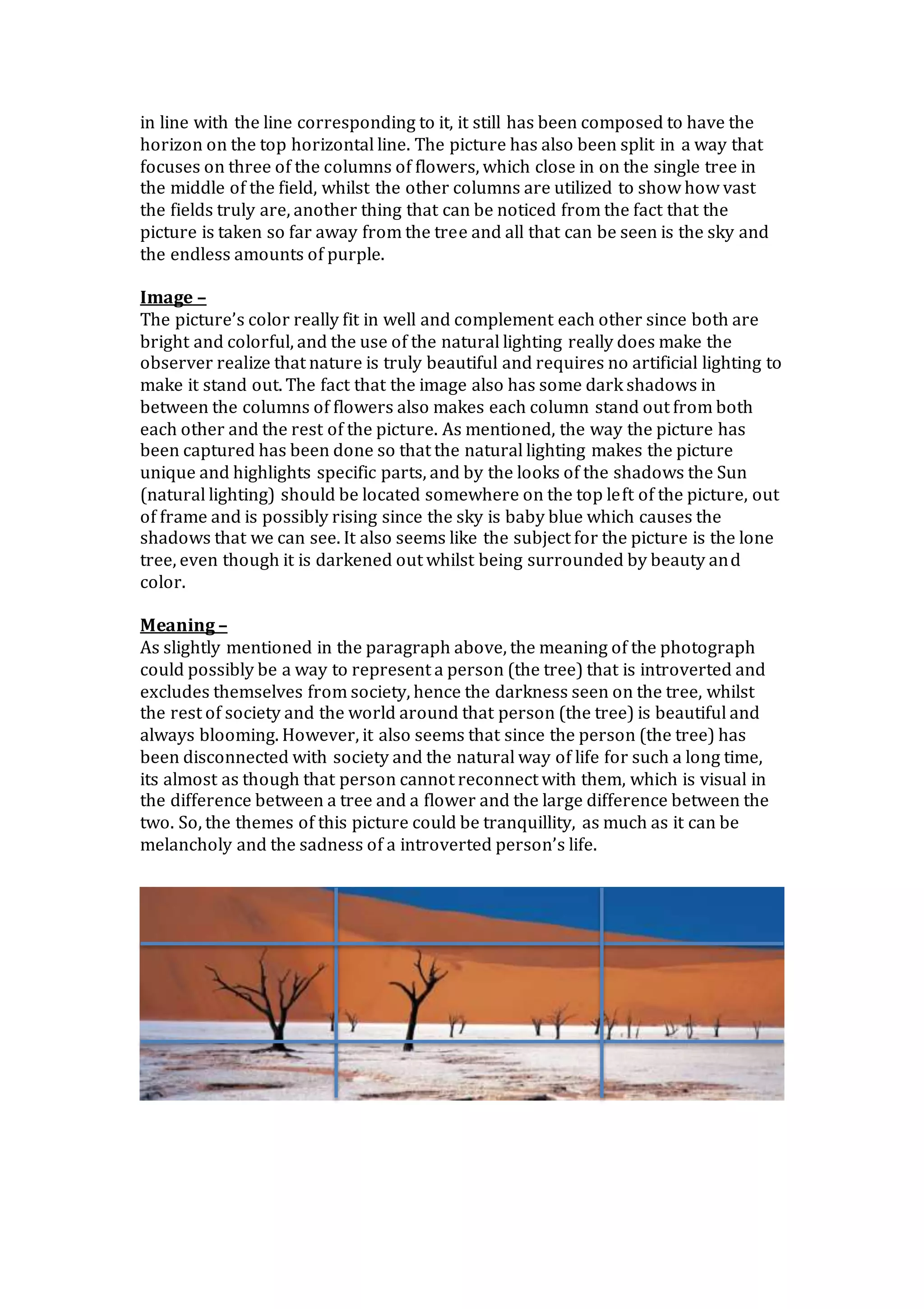 Photographer Image Analysis | PDF