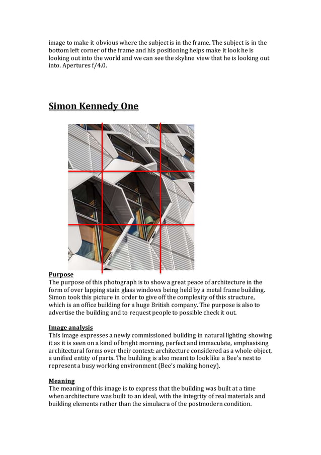 Photographer image analysis | DOCX | Photography | Arts and Crafts