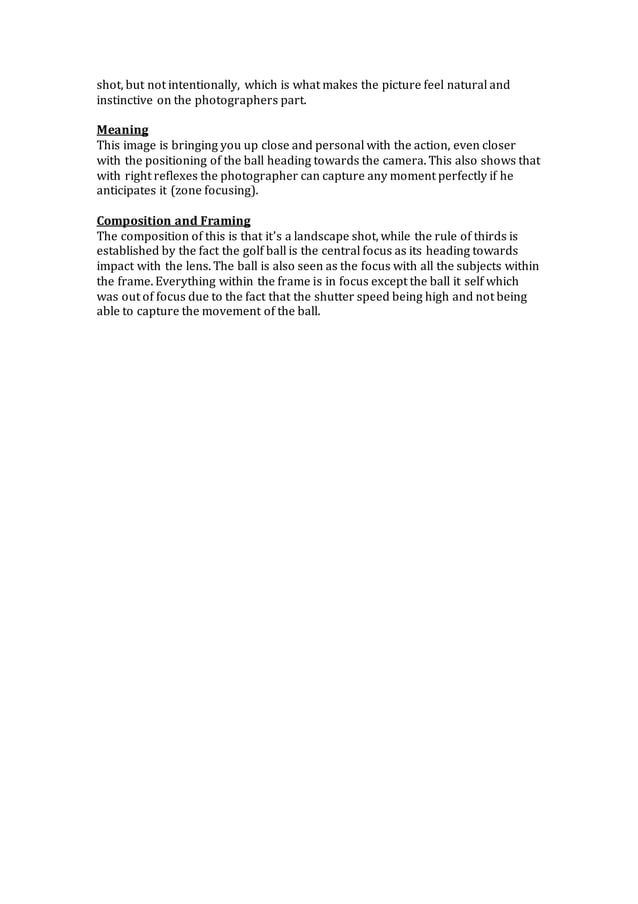 Photographer image analysis | PDF