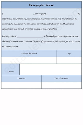 Photographer Release Fillable PDF Template | PDF