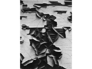 Photographic series | PPT