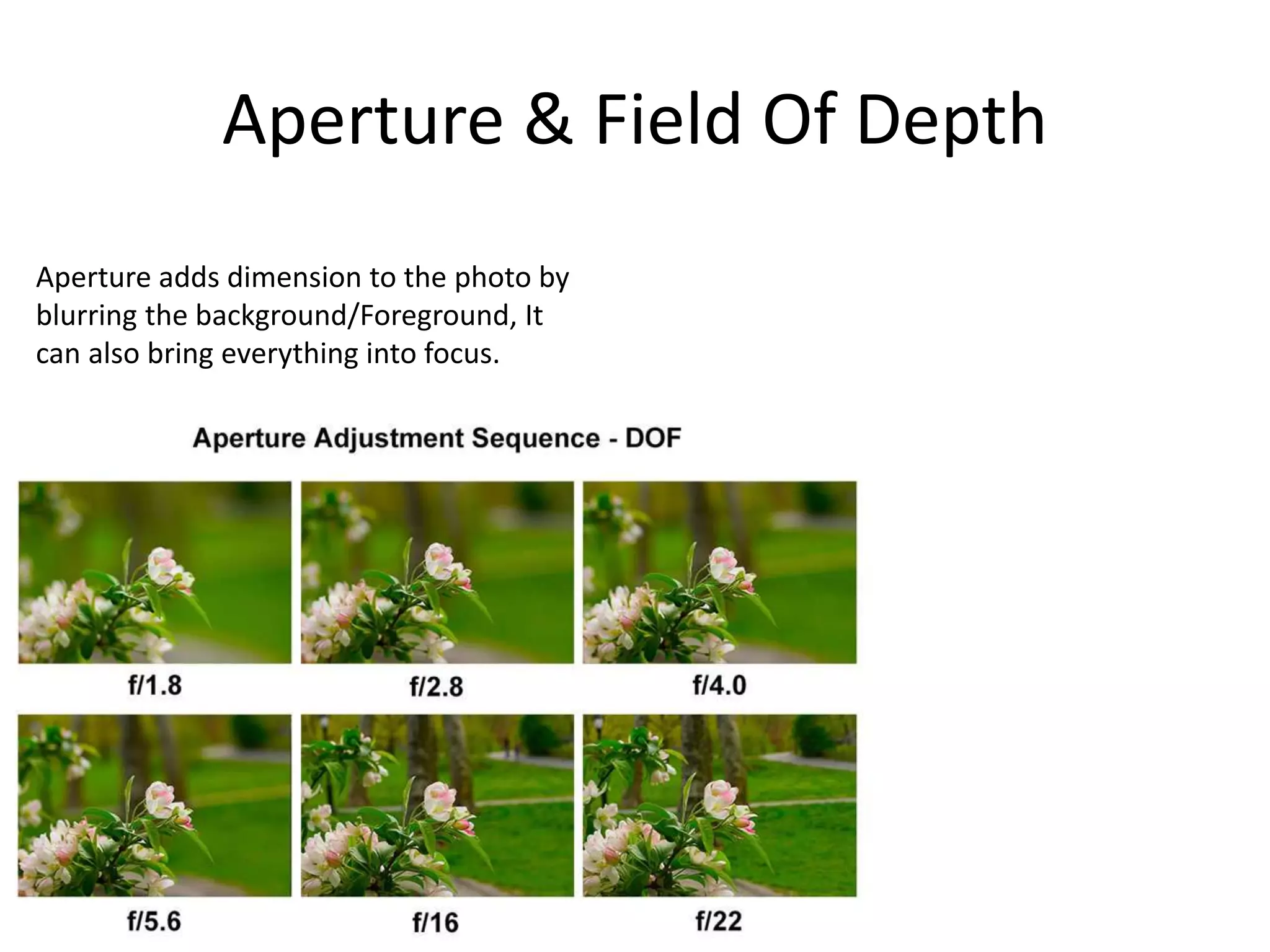 Photographic terminology | PPTX