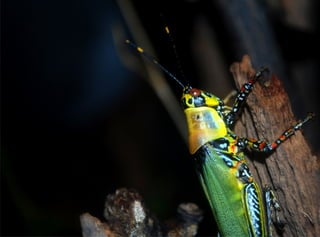 Spanish Style Photography | PDF