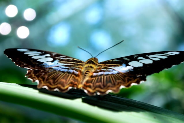 Spanish Style Photography | PDF