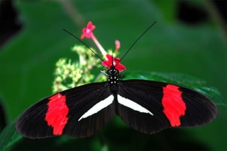 Spanish Style Photography | PDF