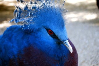 Spanish Style Photography | PDF