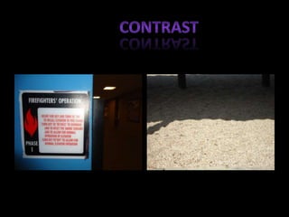 Photography- Jose Olague and Cody Dylan | PPTX