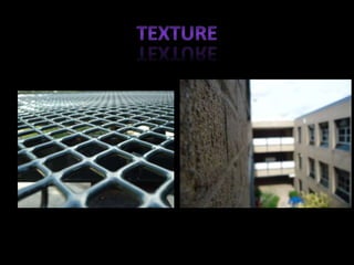 Photography- Jose Olague and Cody Dylan | PPTX