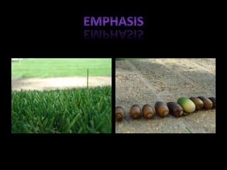 Photography- Jose Olague and Cody Dylan | PPTX