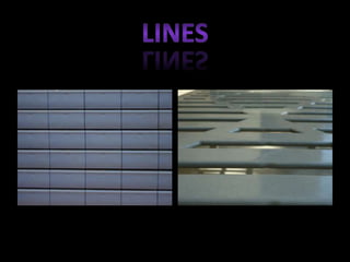 Photography- Jose Olague and Cody Dylan | PPT