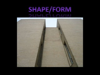 Photography- Jose Olague and Cody Dylan | PPT