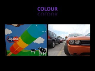 Photography- Jose Olague and Cody Dylan | PPT