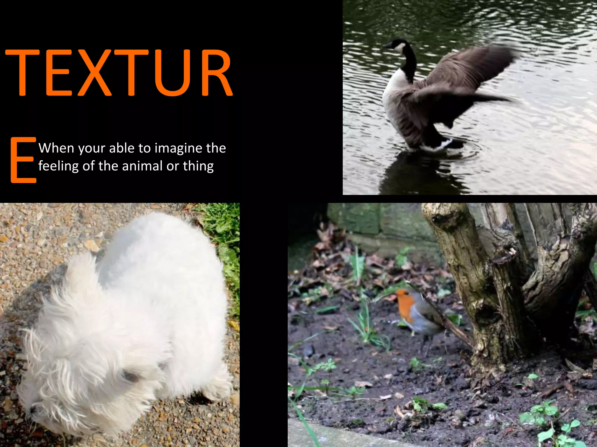 Formal Elements | PPTX | Design | Fine Art