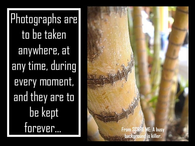 Photography Final Project | PPT