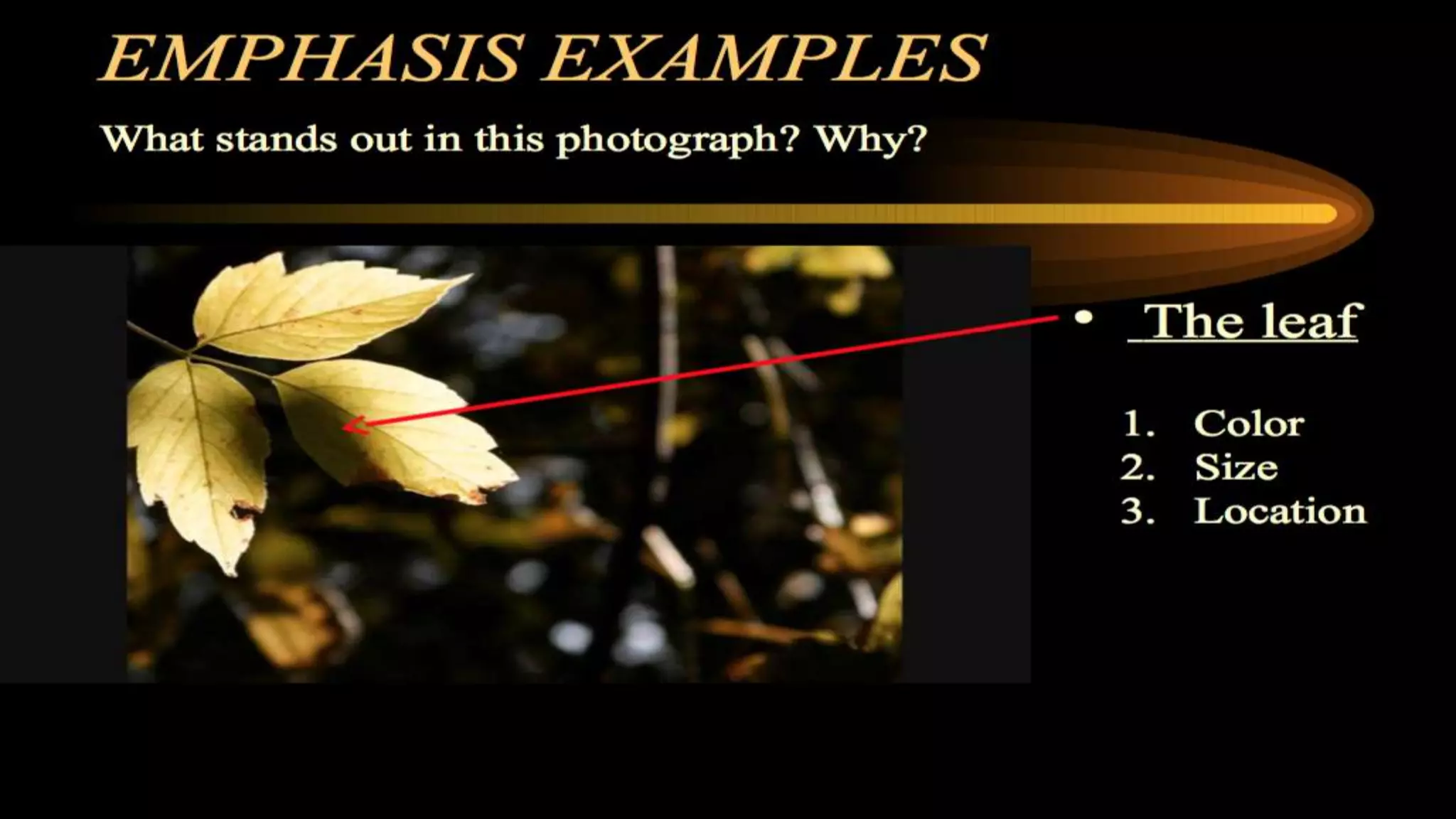 Photography lesson 2 - Analysing images | PPTX