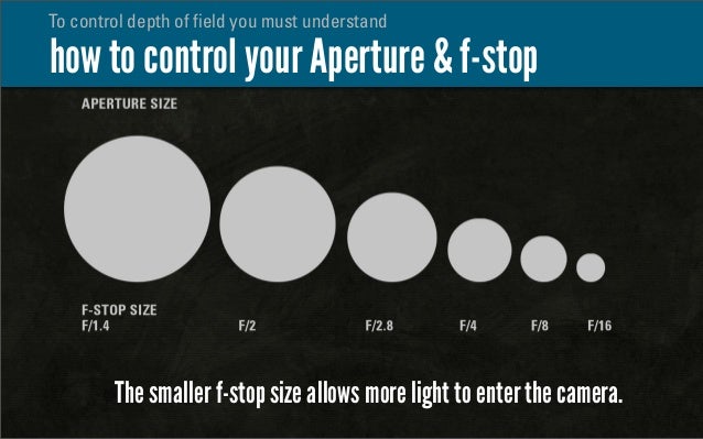 10 Tips To Improve Your Photography
